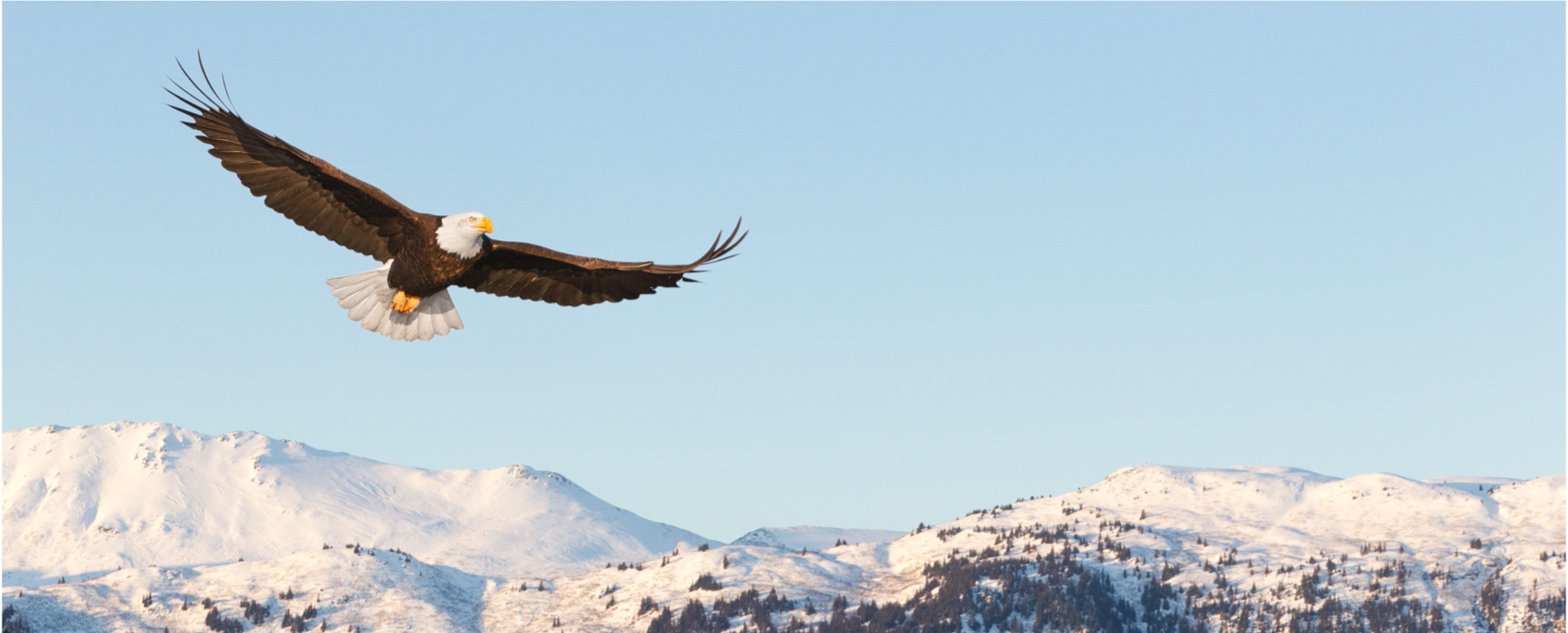 BC First Nations Climate Strategy and Action Plan | British Columbia ...